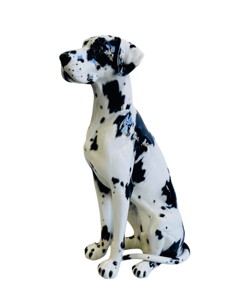 Mr Adam Ears Down Great Dane 105cm